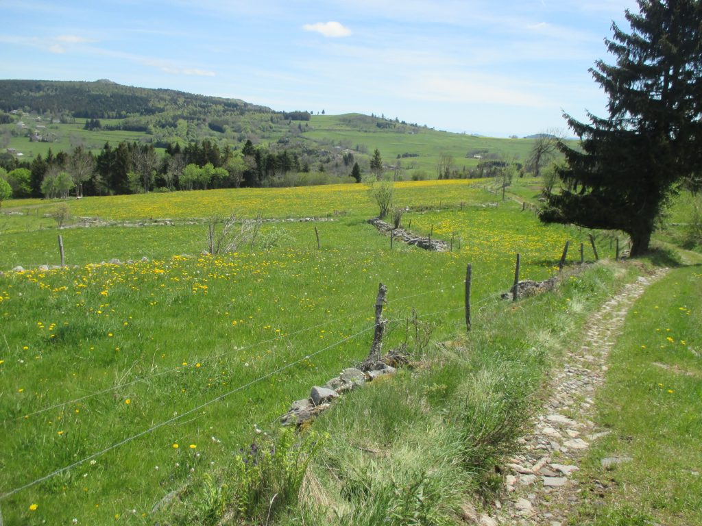 marche nature chemin campagne - Les jardins d'Espaladous